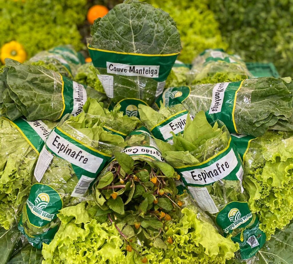 Verduras verde-escuras: ricas em nutrientes e antioxidantes, ajudam a ...